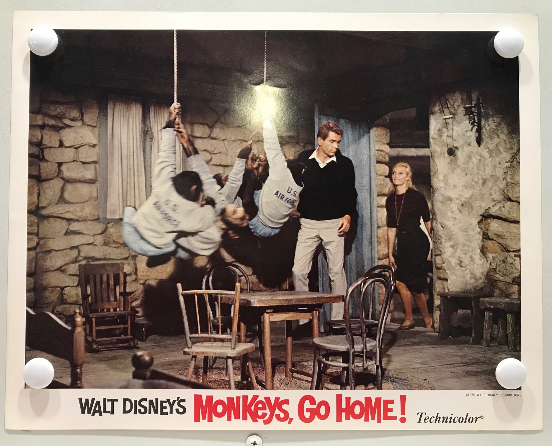 ORIGINAL LOBBY CARDS - MONKEYS, GO HOME! - 1967 - Walt Disney - set of ...