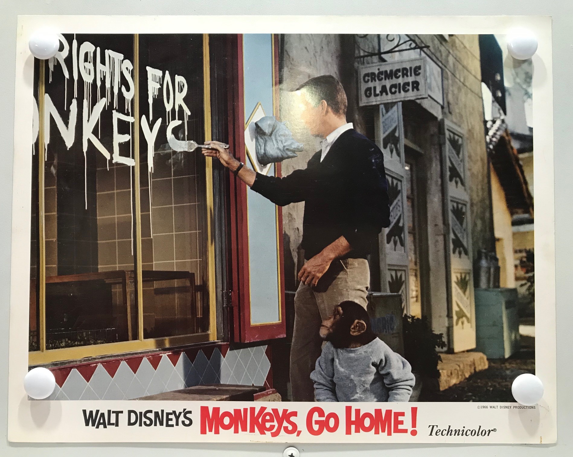 ORIGINAL LOBBY CARDS - MONKEYS, GO HOME! - 1967 - Walt Disney - set of ...