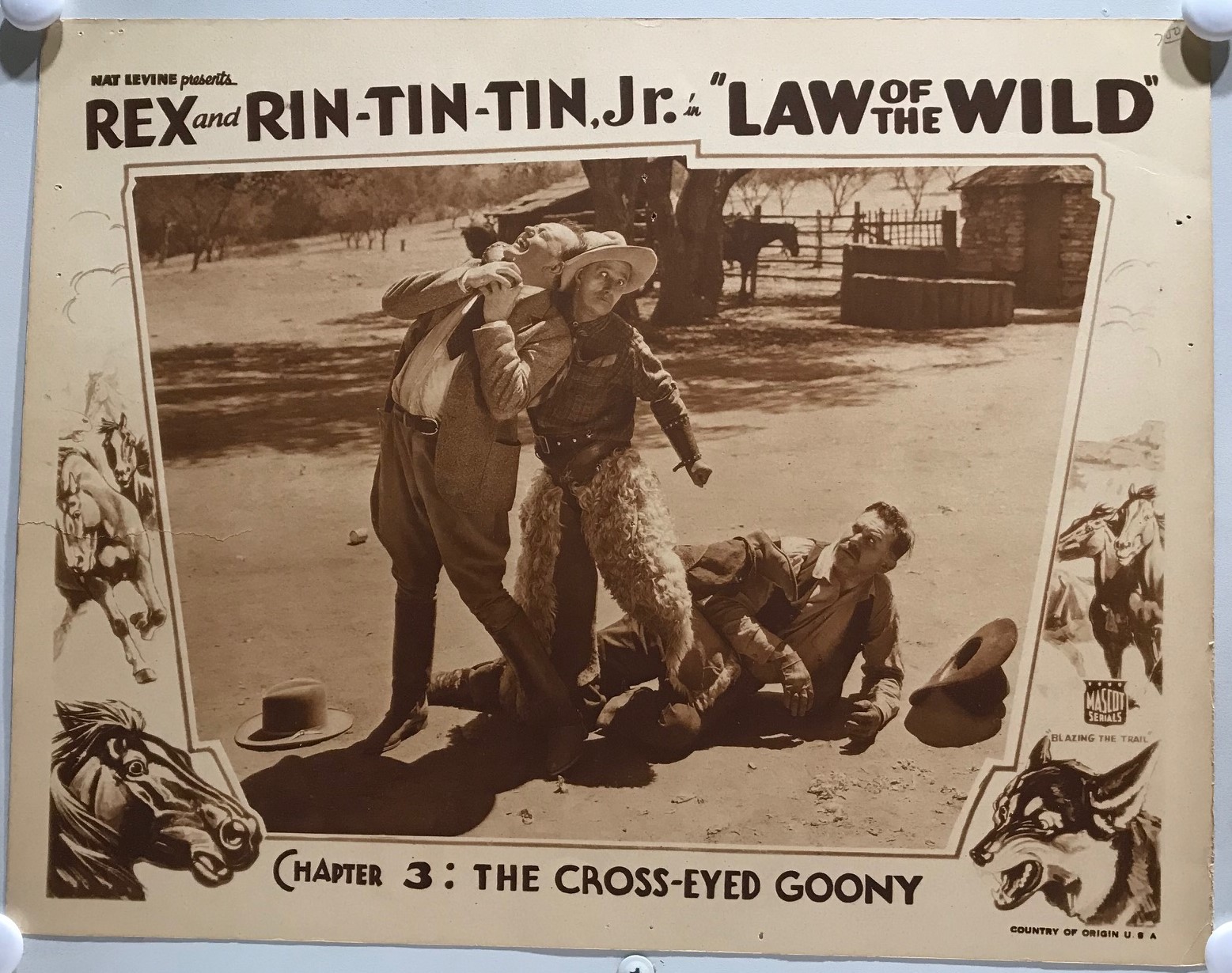 ORIGINAL SERIAL LOBBY CARD - LAW OF THE WILD (b) - 1934 - ft Rex and ...