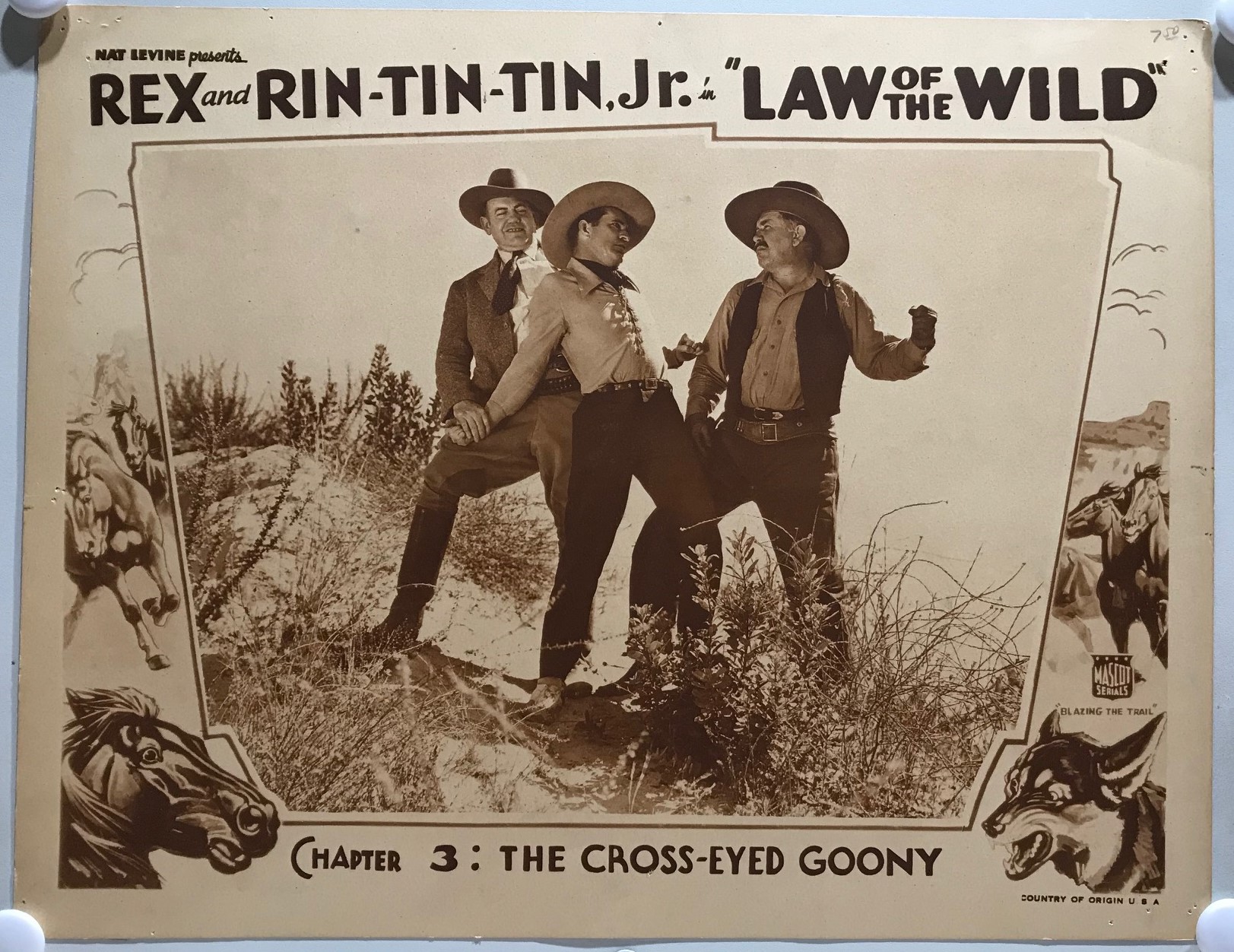 ORIGINAL SERIAL LOBBY CARD - LAW OF THE WILD (d) - 1934 - ft Rex and ...