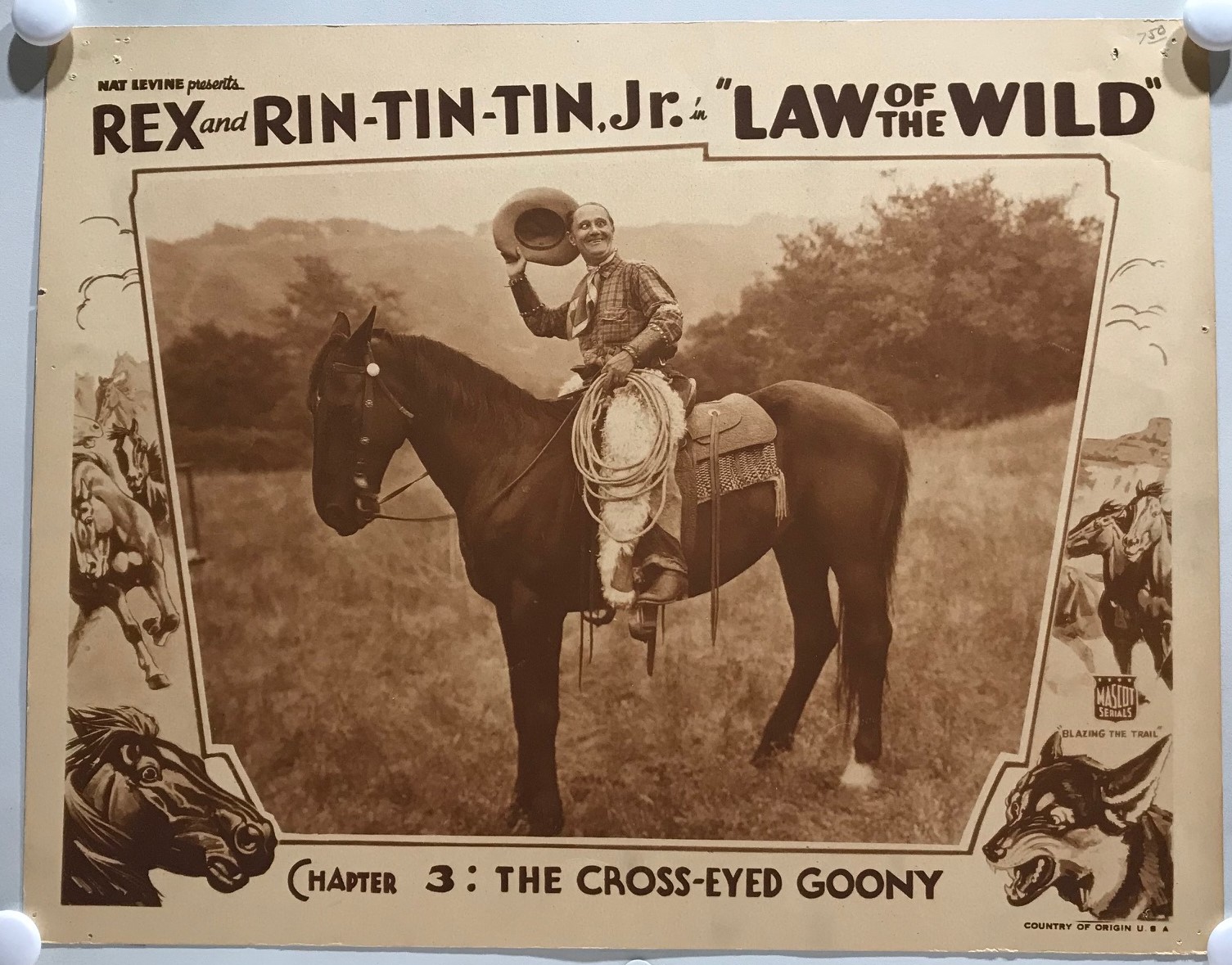 ORIGINAL SERIAL LOBBY CARD - LAW OF THE WILD (c) - 1934 - ft Rex and ...