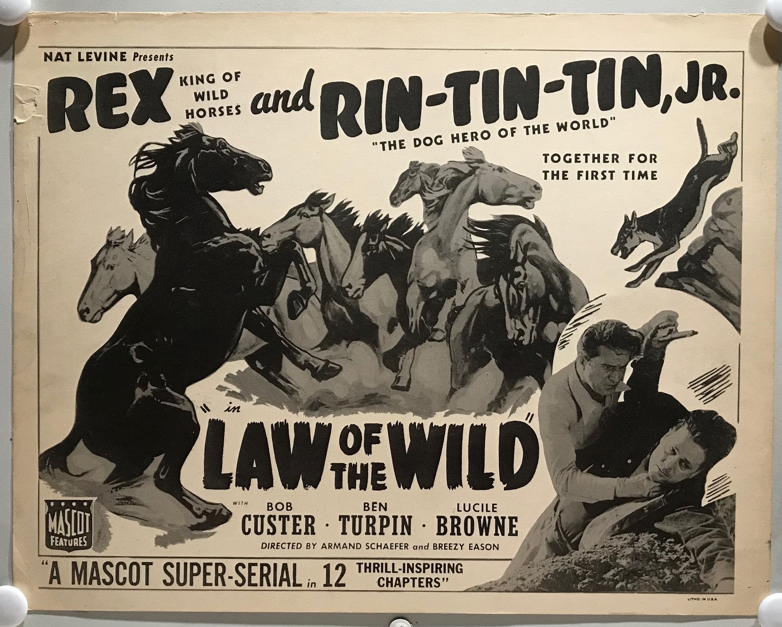 ORIGINAL SERIAL LOBBY CARD - LAW OF THE WILD - 1934 - ft Rex and Rin ...