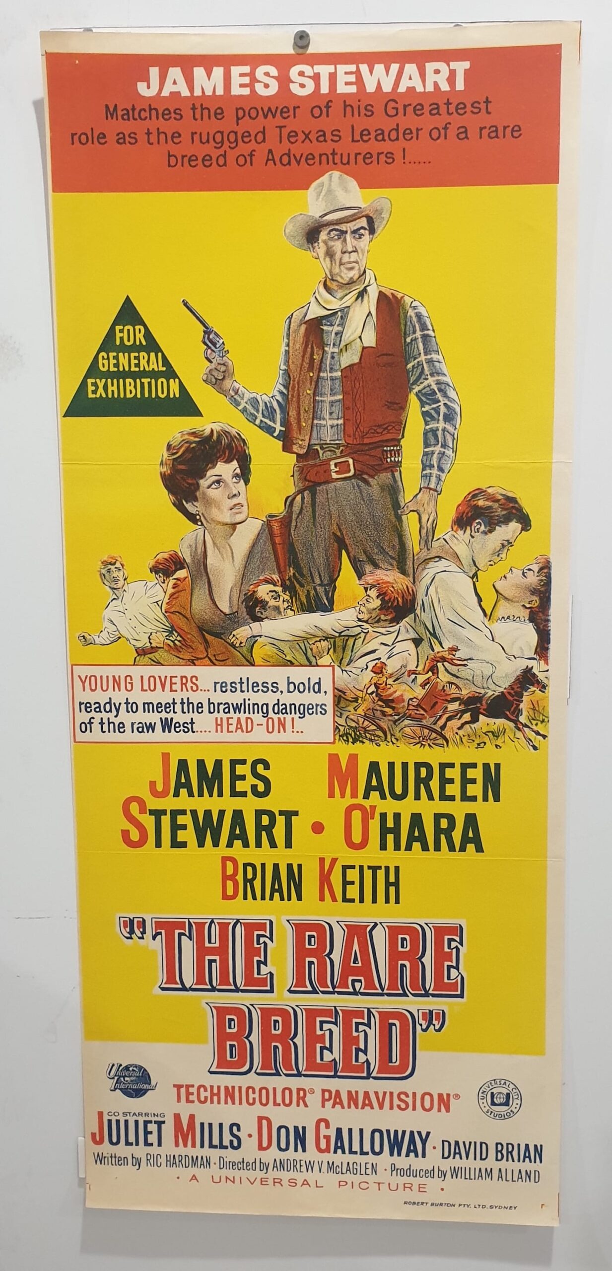 ORIGINAL DAYBILL MOVIE POSTER - THE RARE BREED - 1966 - X Marks The Shop
