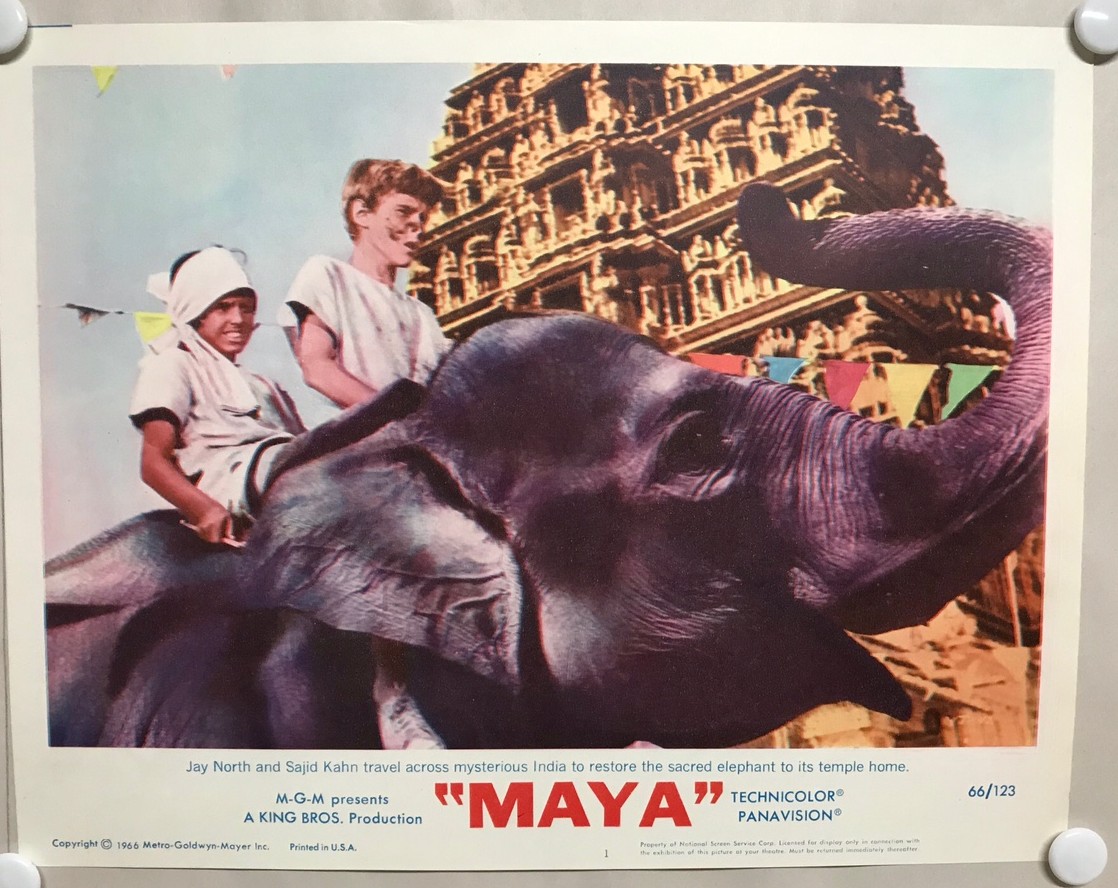 ORIGINAL LOBBY CARDS - MAYA - 1966 - set of 8 - Clint Walker, Jay North, Sajid Khan - X Marks ...