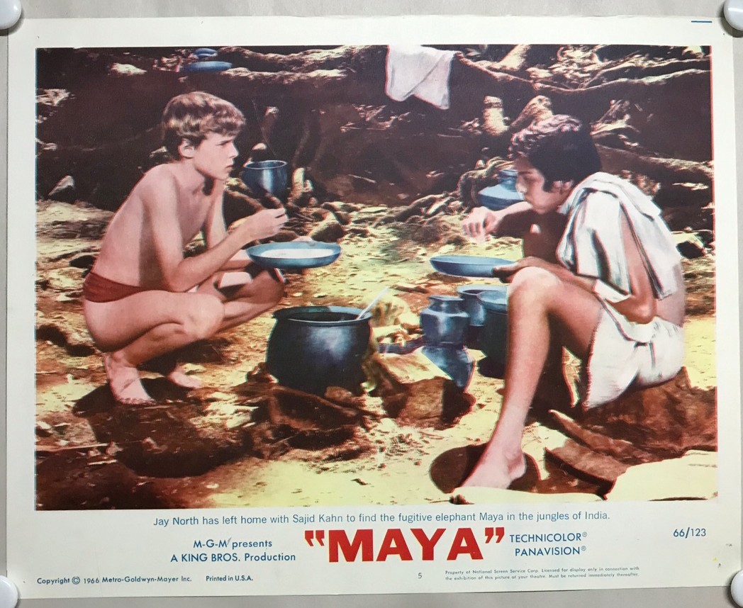 ORIGINAL LOBBY CARDS - MAYA - 1966 - set of 8 - Clint Walker, Jay North, Sajid Khan - X Marks ...