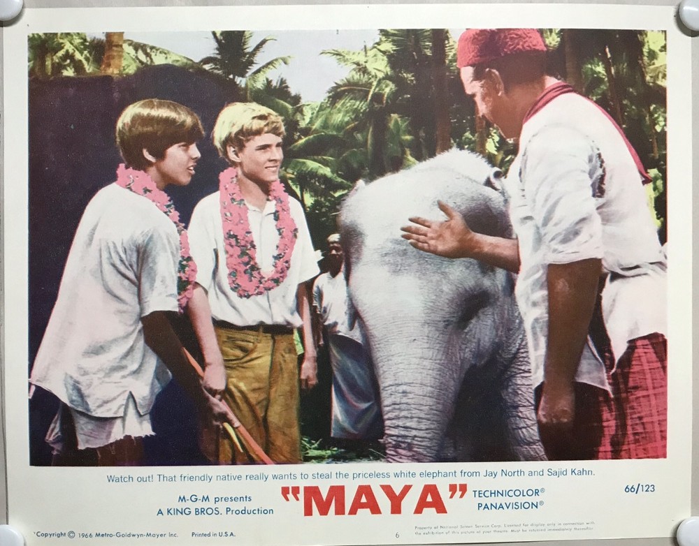 ORIGINAL LOBBY CARDS - MAYA - 1966 - set of 8 - Clint Walker, Jay North, Sajid Khan - X Marks ...