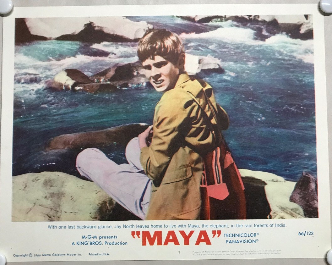 ORIGINAL LOBBY CARDS - MAYA - 1966 - set of 8 - Clint Walker, Jay North, Sajid Khan - X Marks ...