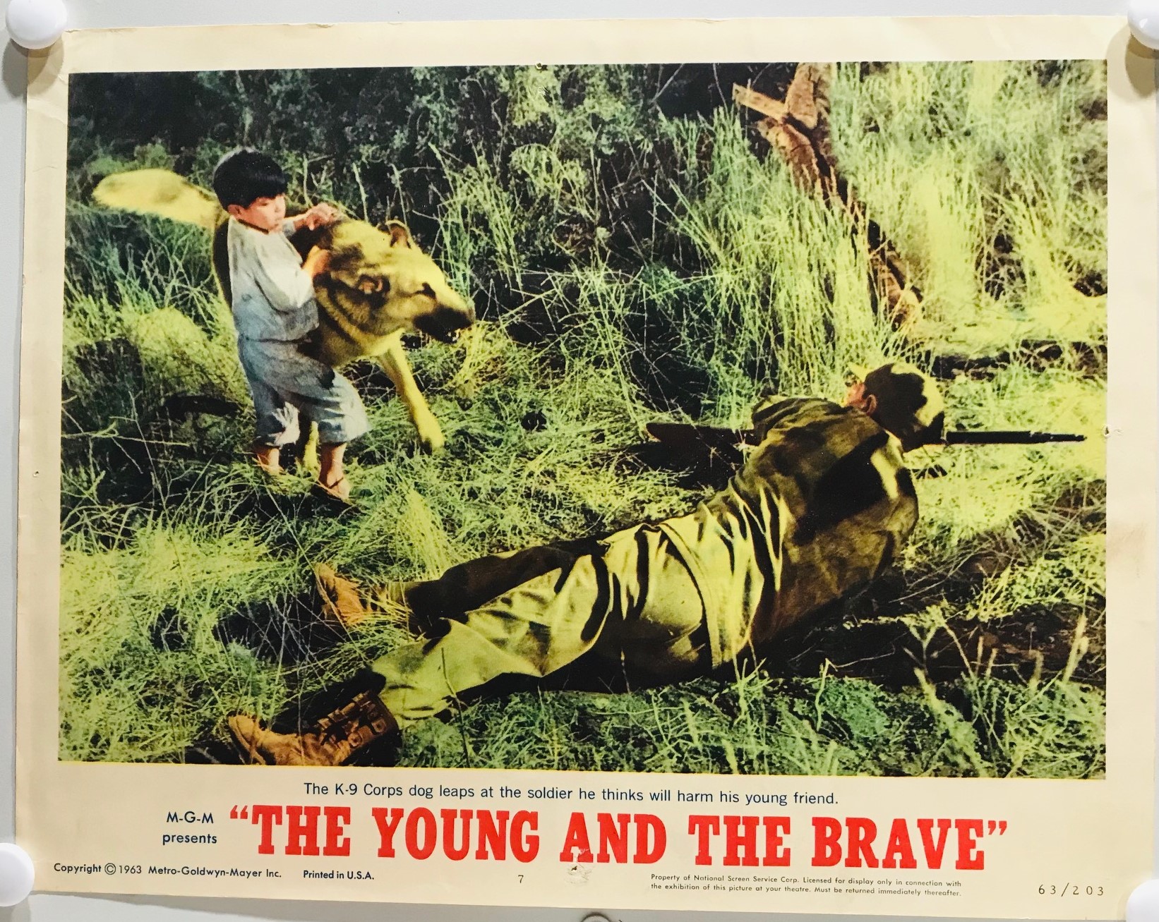 ORIGINAL LOBBY CARDS - THE YOUNG AND THE BRAVE - 1963 - set of 8 - Rory ...