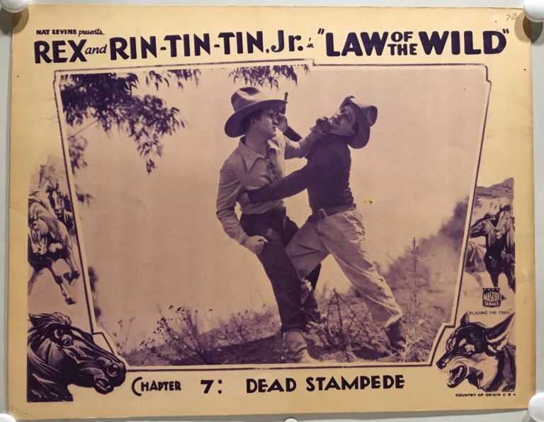 ORIGINAL SERIAL LOBBY CARD - LAW OF THE WILD (a) - 1934 - ft Rex and ...